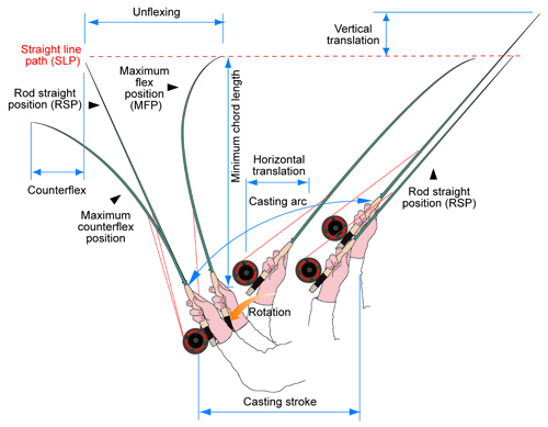 The casting sequence - Flycasting KnowledgebaseFlycasting Knowledgebase