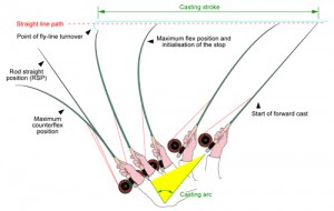 The casting sequence - Flycasting KnowledgebaseFlycasting Knowledgebase