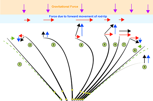 Rod-tip force vector analysis - Flycasting KnowledgebaseFlycasting Knowledgebase