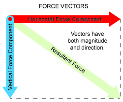 Vectors - Flycasting KnowledgebaseFlycasting Knowledgebase